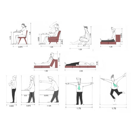 Recognising the need: ergonomics and anthropometrics in architectural ...